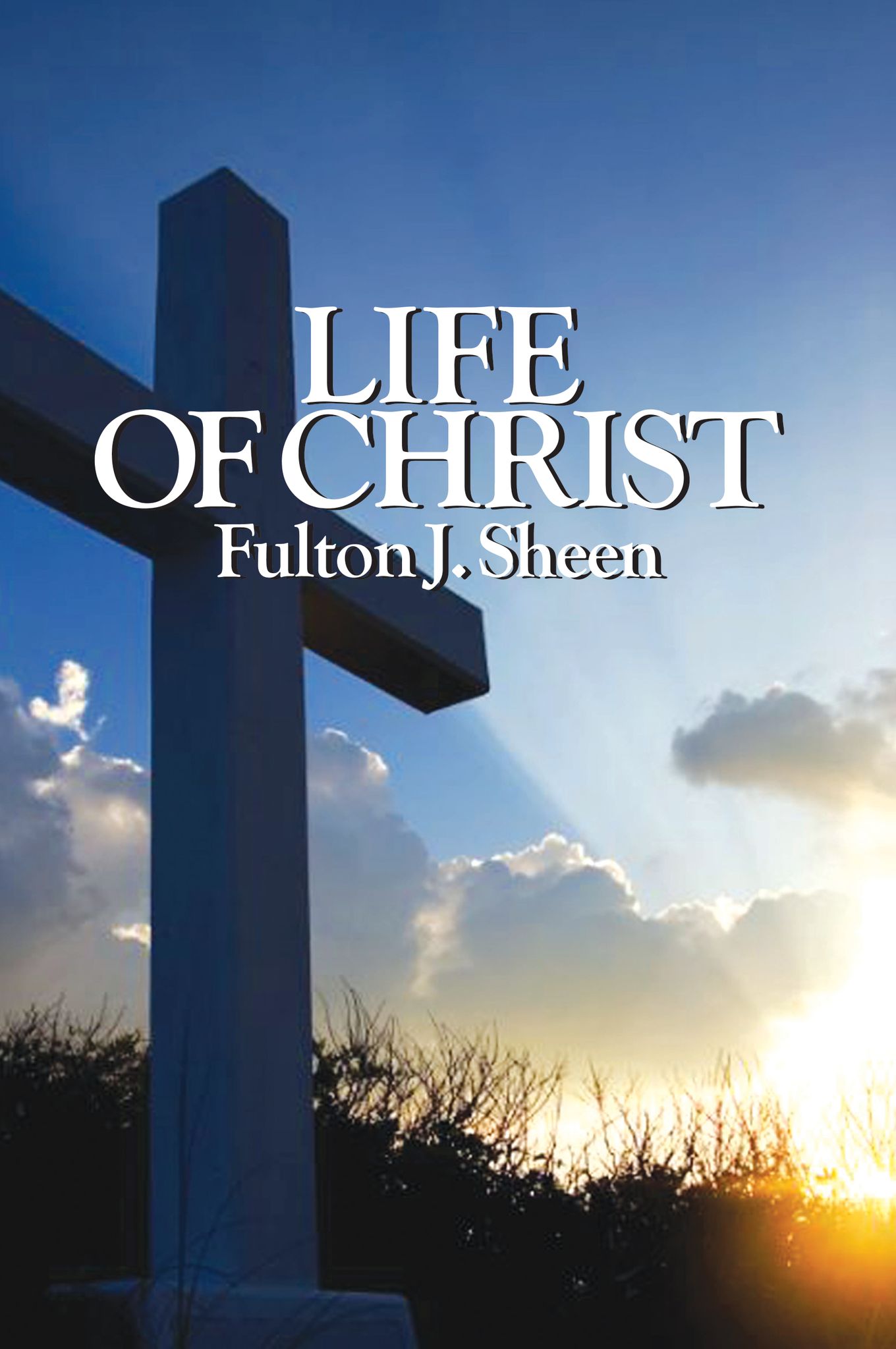 LIFE OF CHRIST - Joy of Gifting